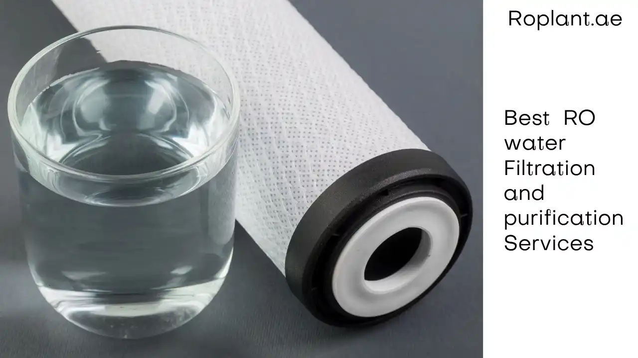 Best RO water Filtration and purification Services company - ROPLANT
